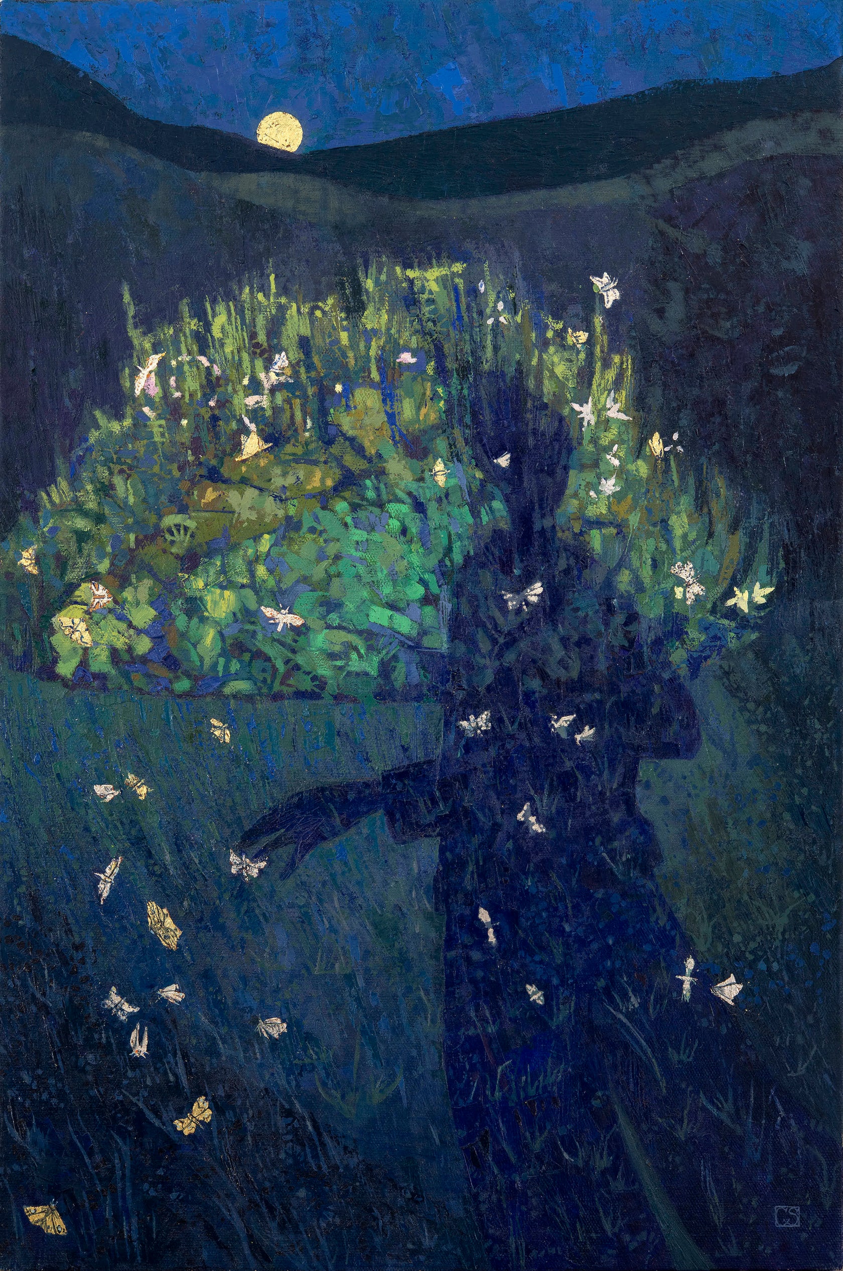 'Shadow Song' by Charlotte Sorapure – Panter and Hall