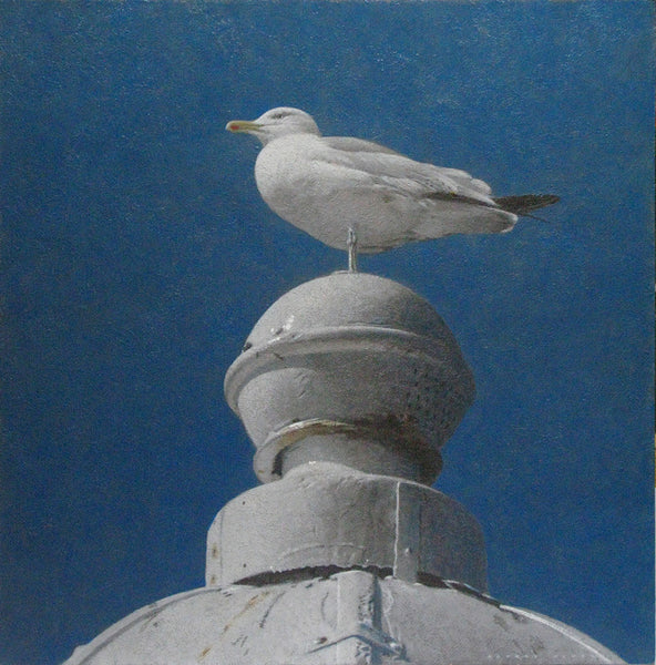 'Gull, Smeaton's Pier, Lighthouse, St Ives'Rob Pittam – Panter and Hall