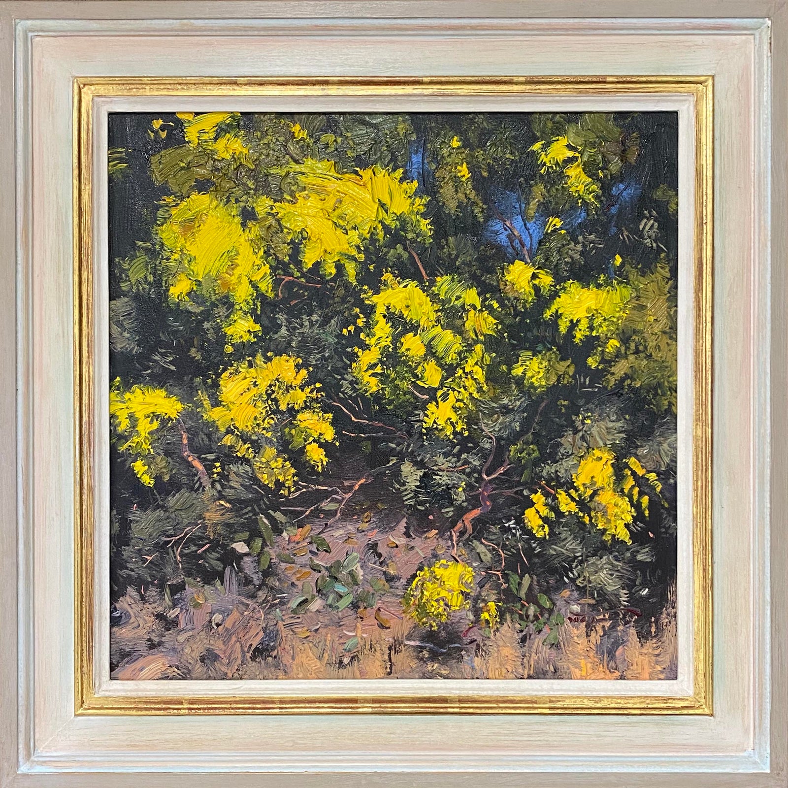 Warwick Fuller Contemporary Landscape Artist 'Golden Wattle, Fullers ...
