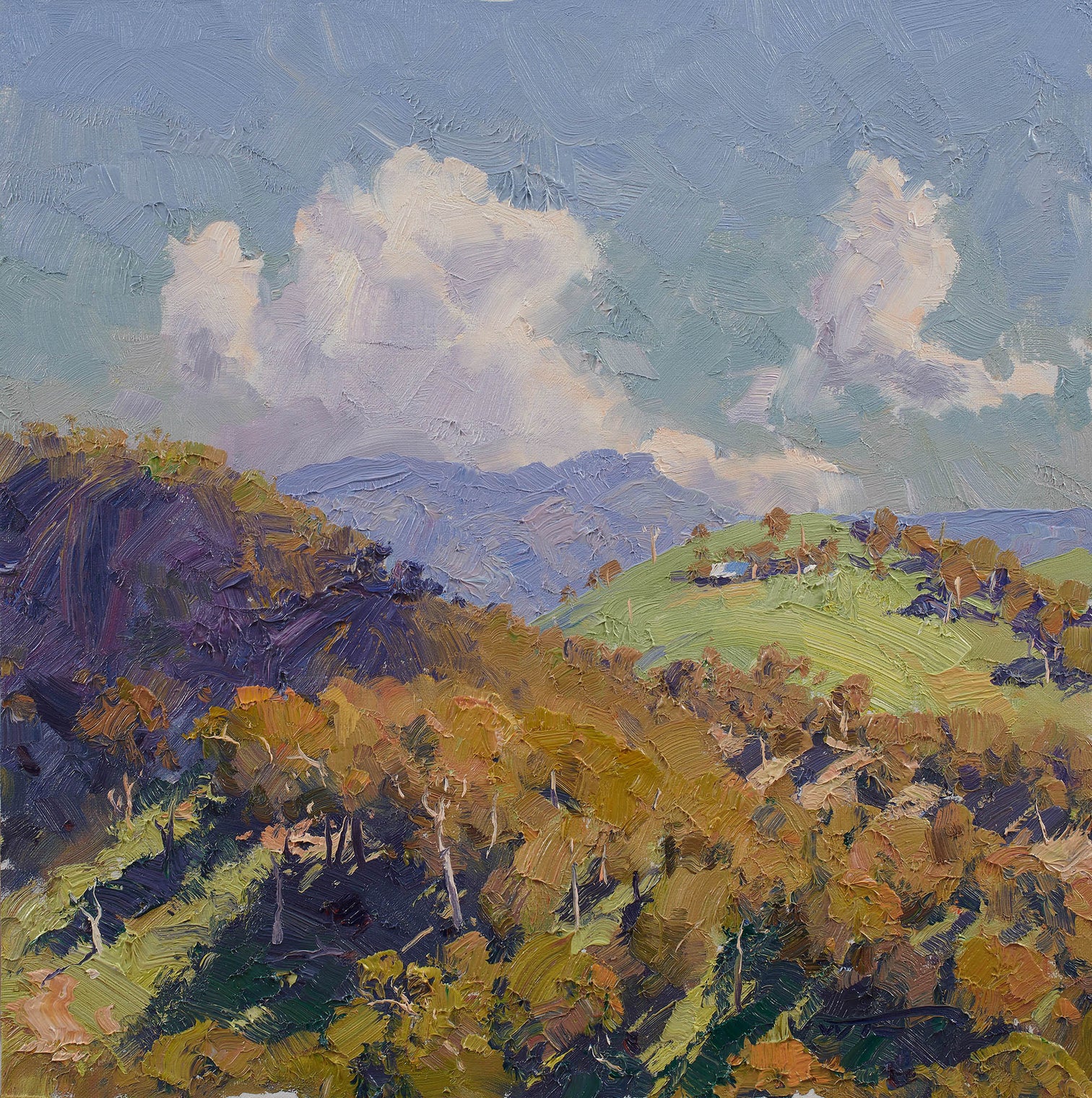 Warwick Fuller (born 1948) Contemporary Australian Landscape Artist ...