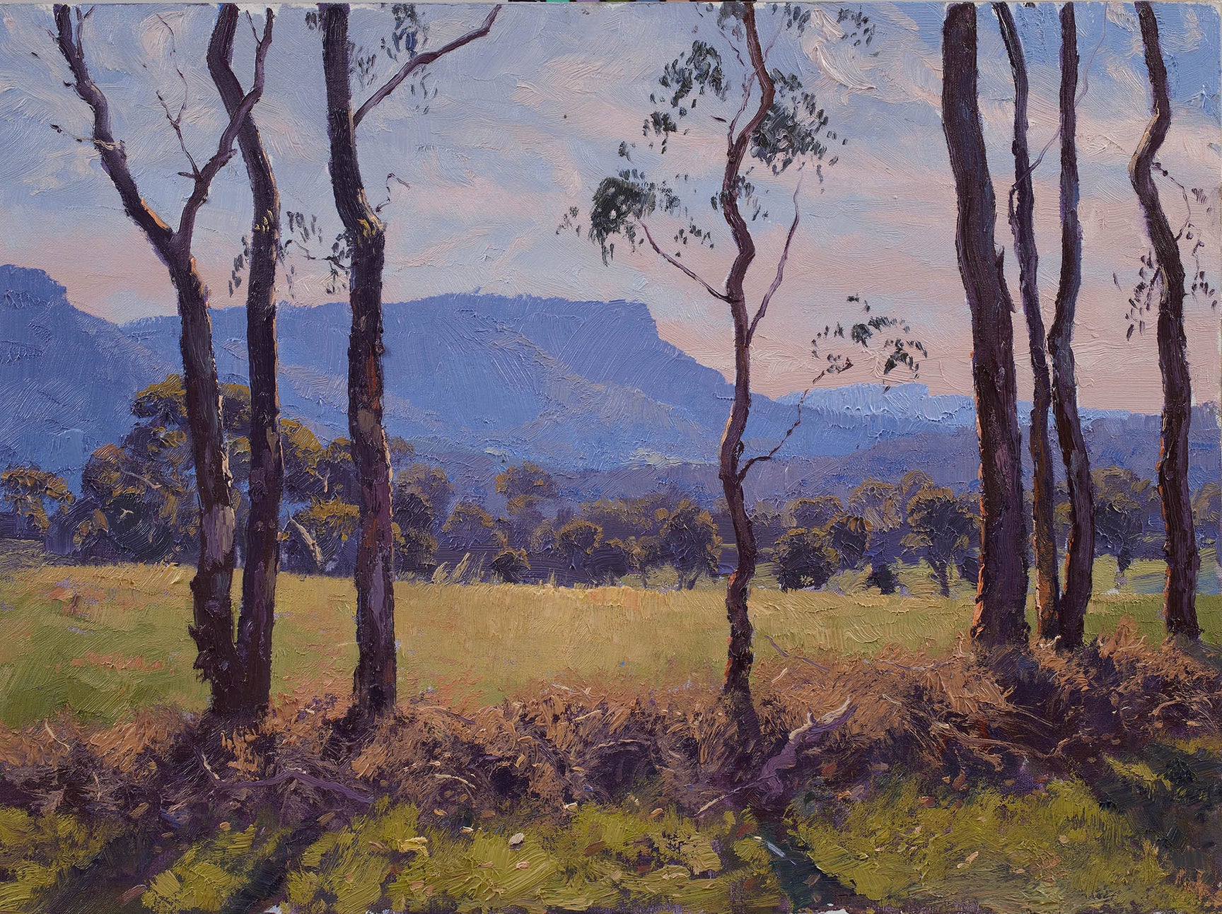 Warwick Fuller (born 1948) Contemporary Australian Landscape Artist ...