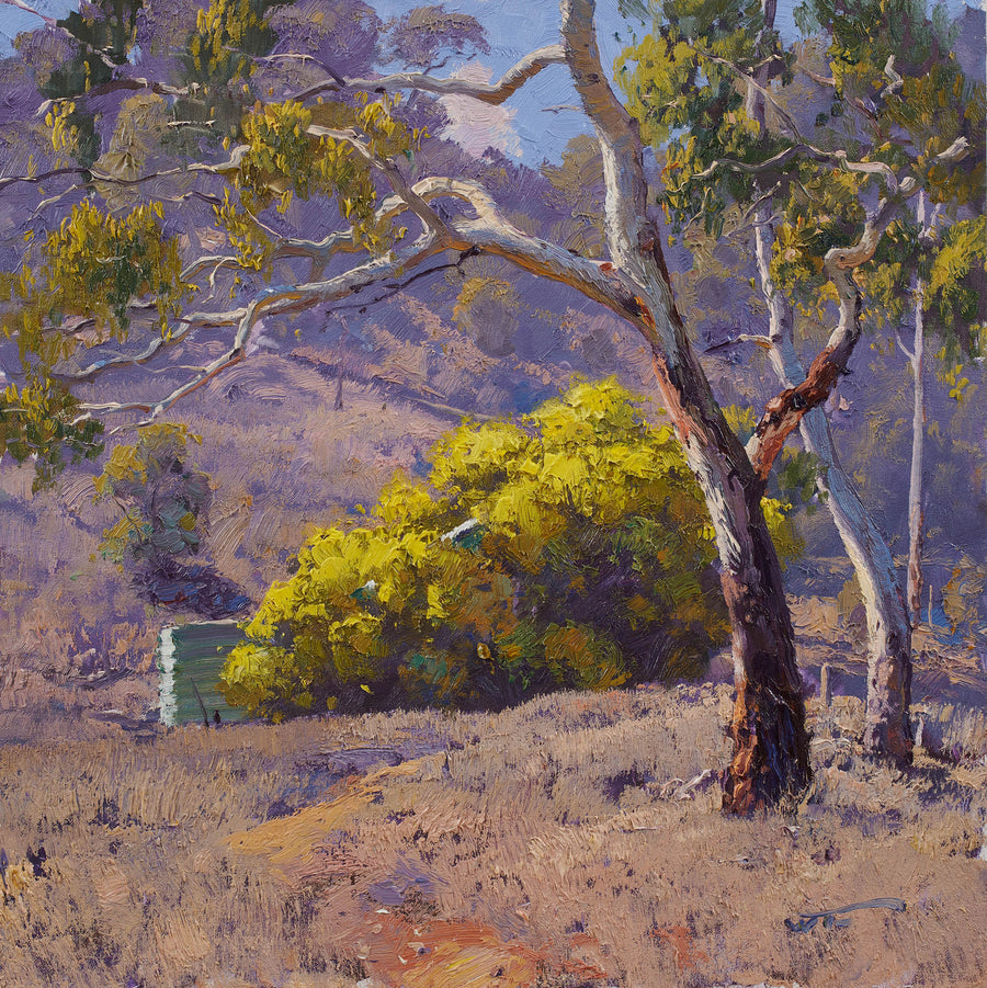 Warwick Fuller (born 1948) Contemporary Australian Landscape Artist ...