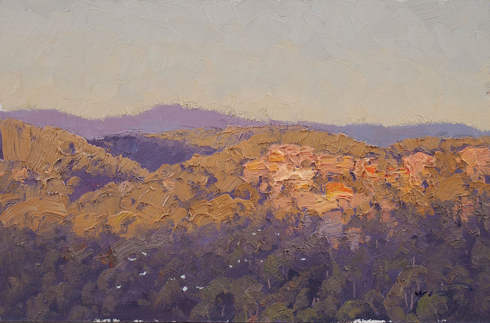 Warwick Fuller (born 1948) Contemporary Australian Landscape Artist ...