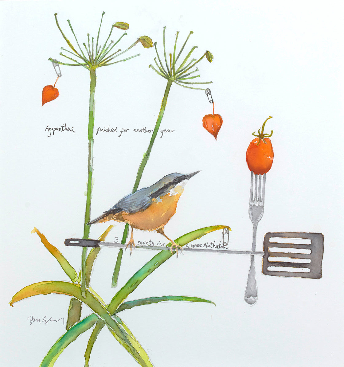 Janice Gray contemporary Scottish artist 'Agapanthus and Nuthatch ...
