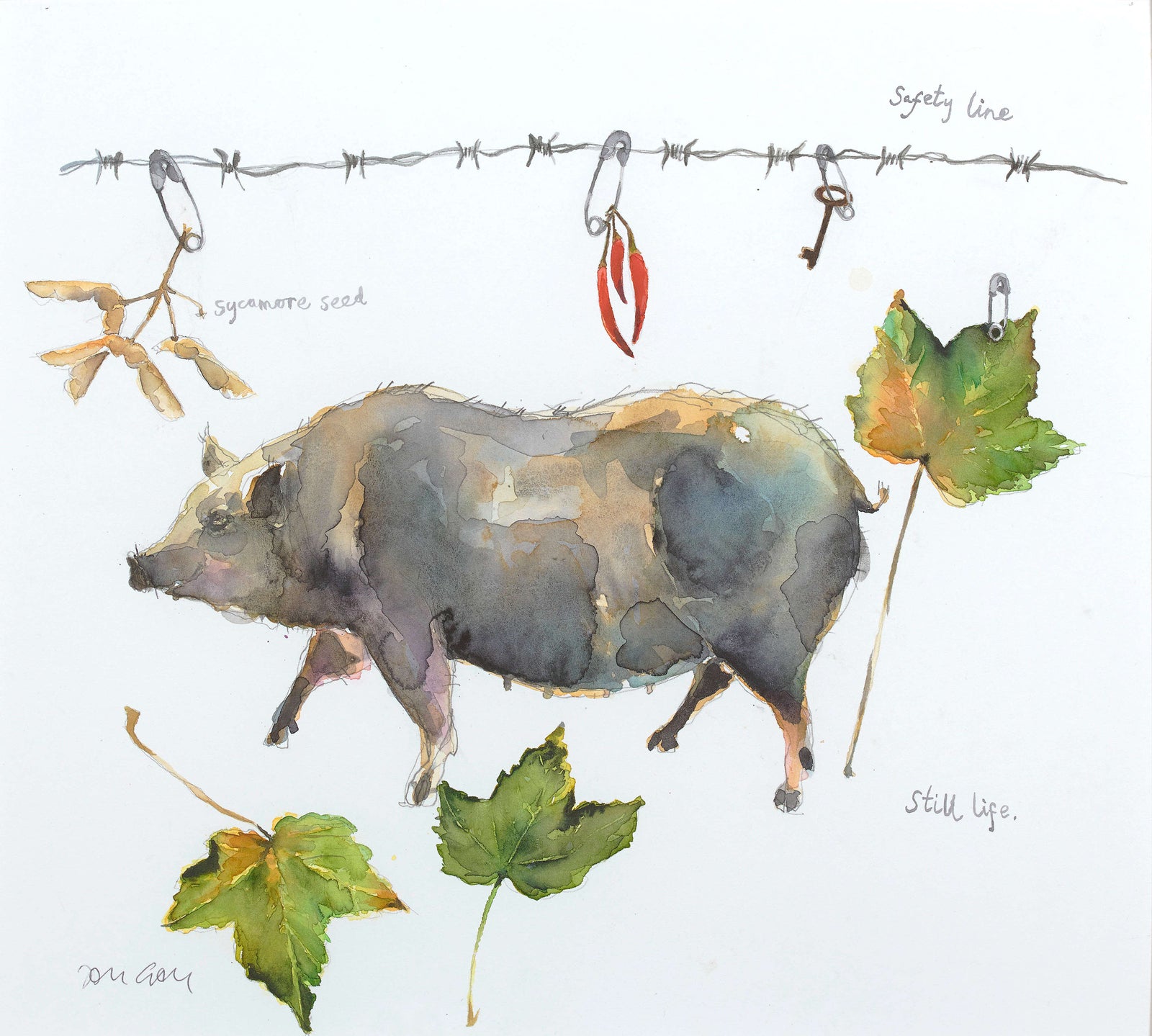 Janice Gray contemporary Scottish artist 'Sycamore Still Life' – Panter ...