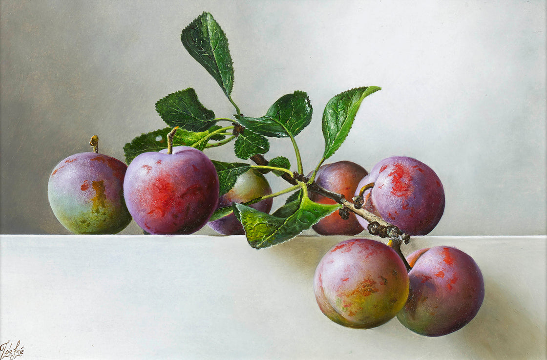 Johan de Fre Contemporary Dutch Realist Still Life: Romantic Plums ...