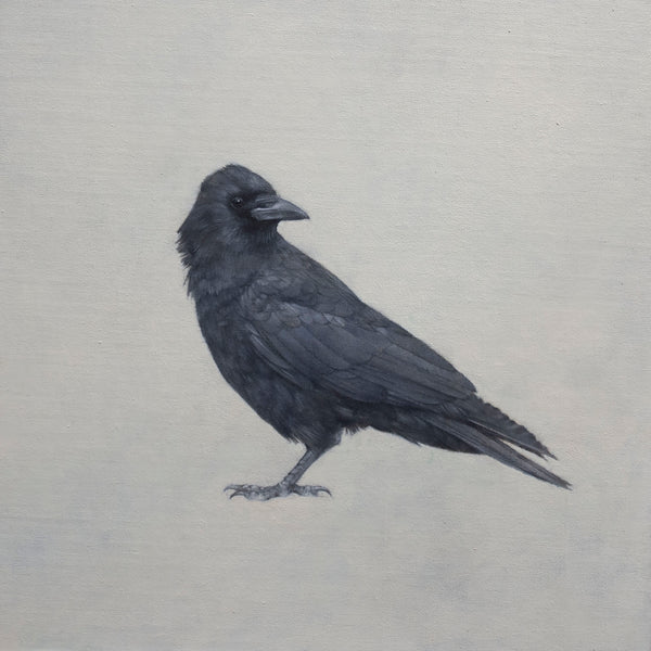 Justin Coburn Scottish artist 'Crow' – Panter and Hall