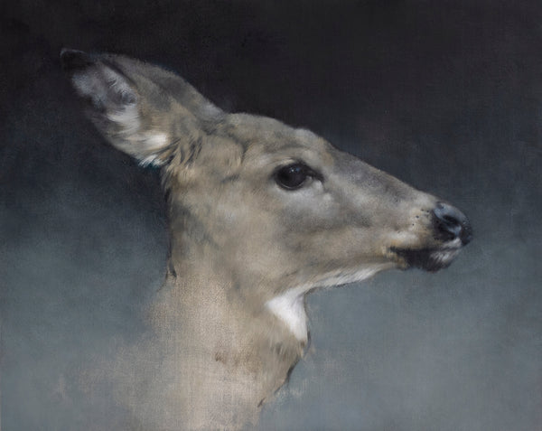 Justin Coburn contemporary artist 'Deer Study' – Panter and Hall