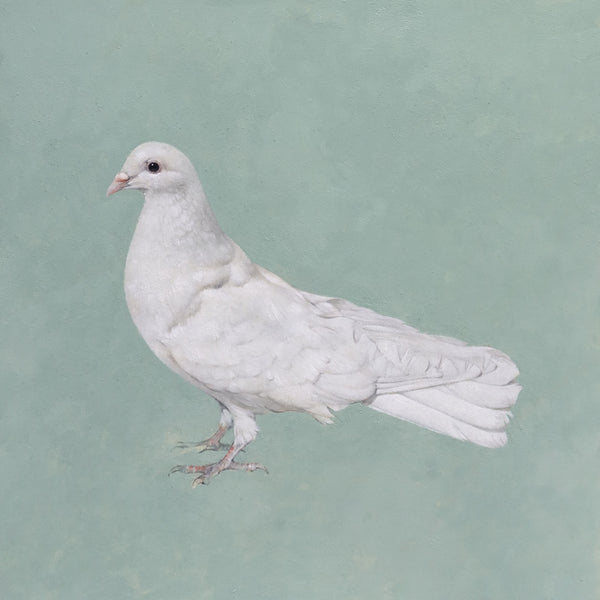 Justin Coburn Scottish artist 'Dove, Celadon Green' – Panter and Hall