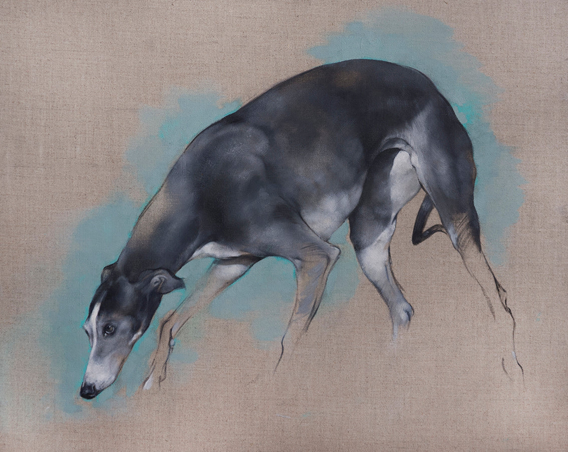 Justin Coburn contemporary artist 'Greyhound Study' – Panter and Hall