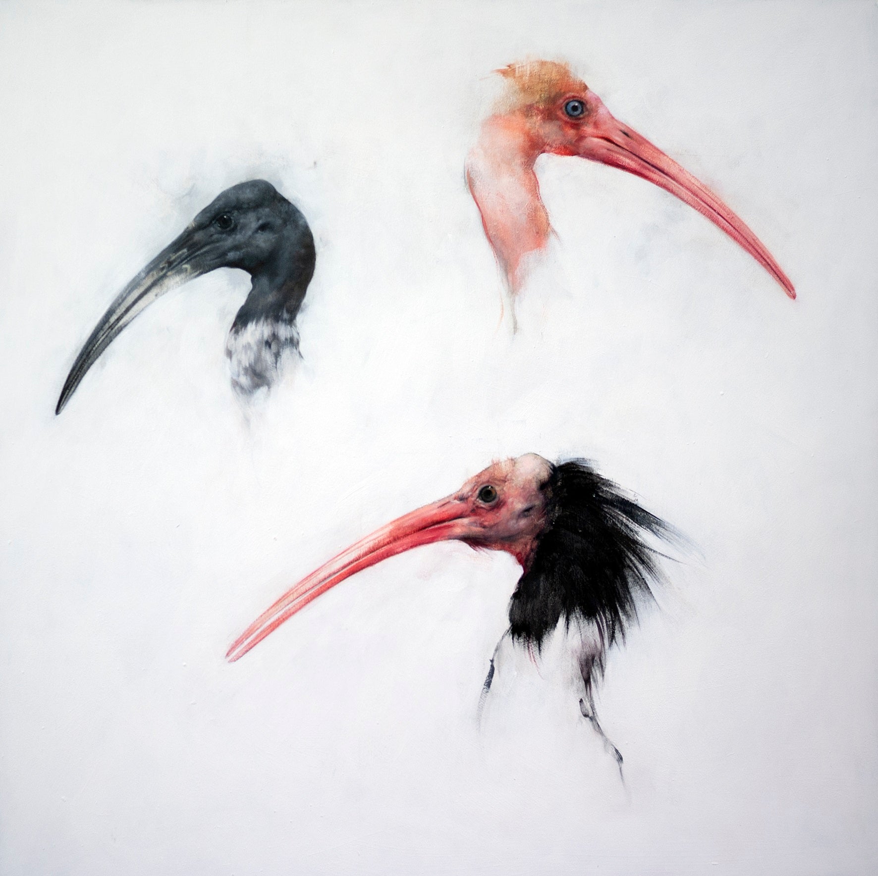 Justin Coburn: New Paintings – Panter and Hall