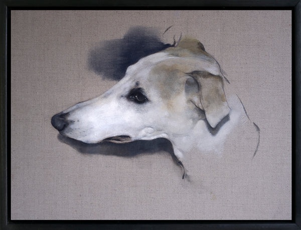 Justin Coburn contemporary artist 'Whippet Study I' – Panter and Hall