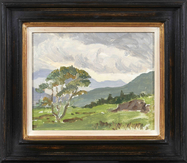 Luke Dillon-Mahon Twentieth Century Irish Art 'Connemara Landscape V ...