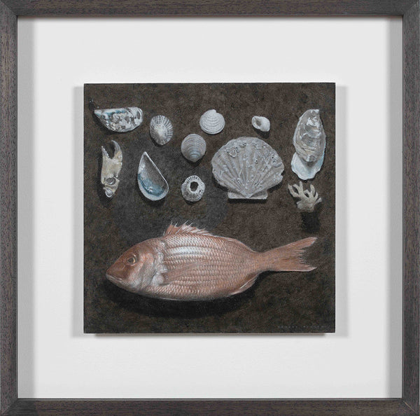Beach Finds and Couch's Sea Bream – Panter and Hall