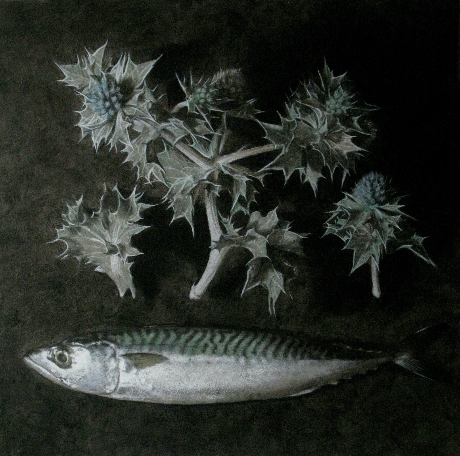 Rob Pittam contemporary British figurative art 'Sea Holly & Mackerel ...