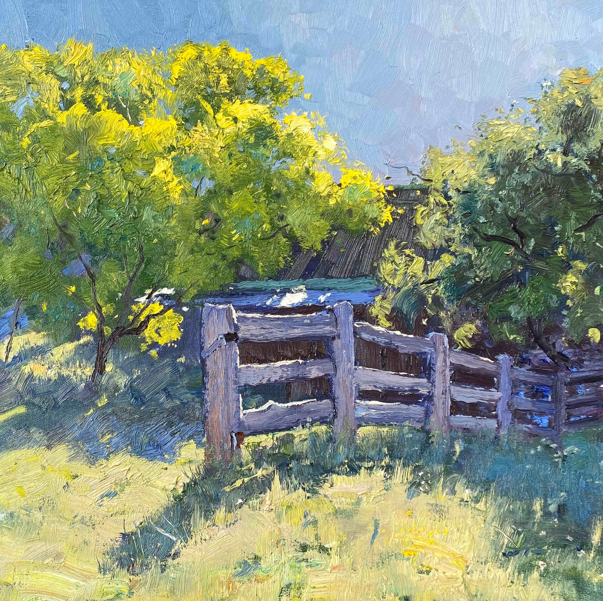 Warwick Fuller Contemporary Landscape Artist 'Golden Wattle, Fullers ...