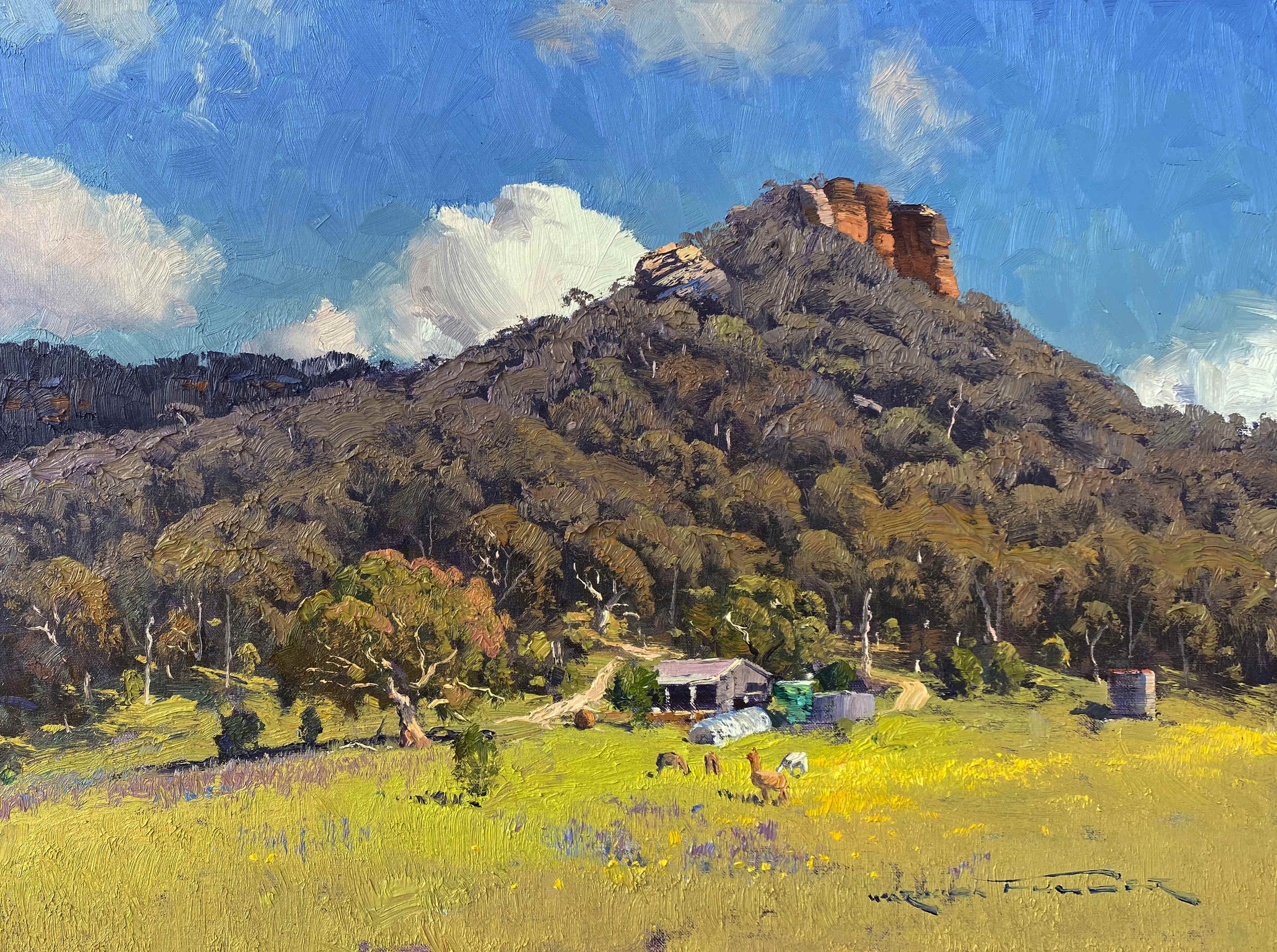 In the Midday Sun, Mumbil – Panter and Hall