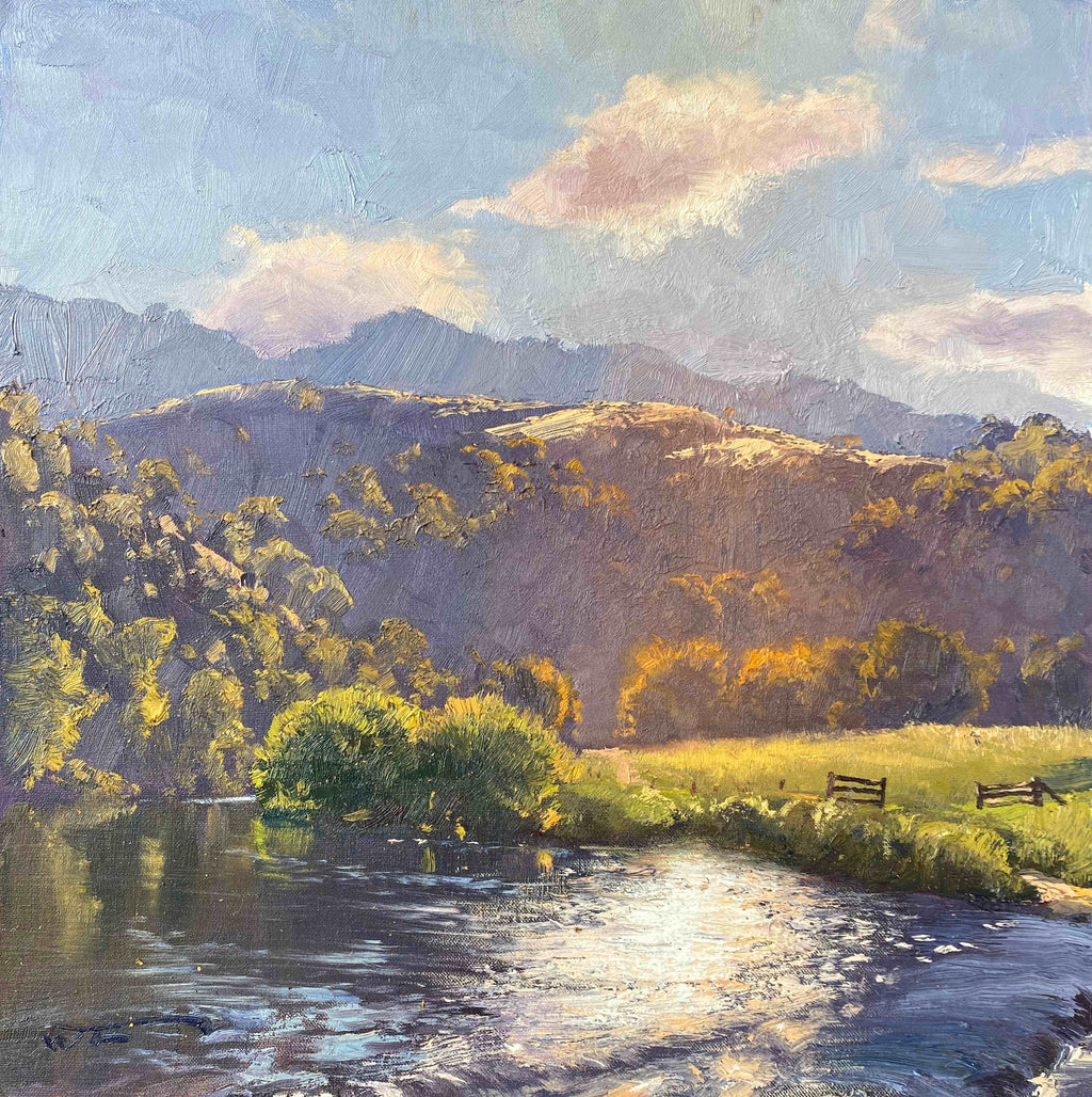 Warwick Fuller Contemporary Landscape Artist 'Golden Wattle, Fullers ...