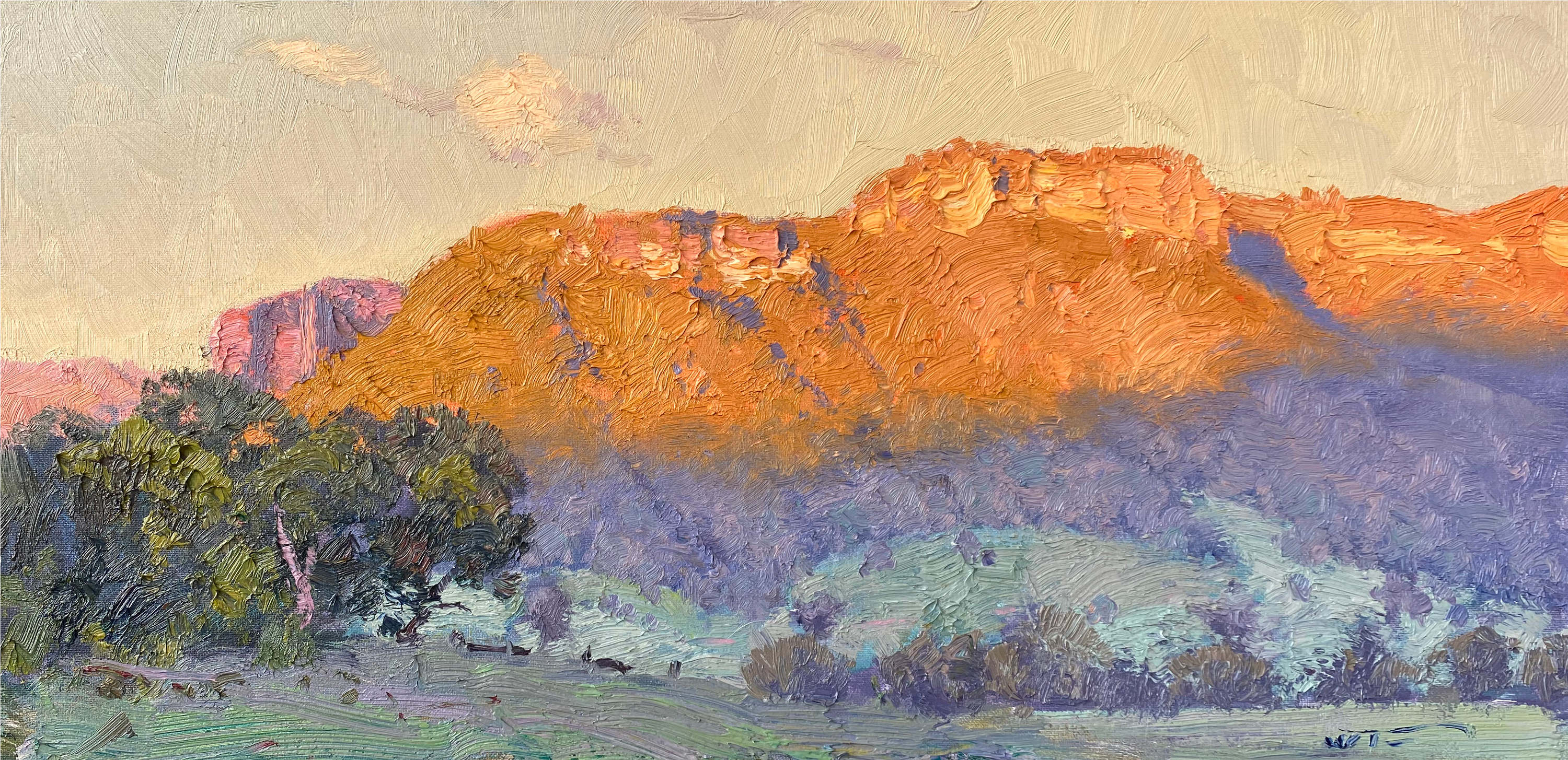 Warwick Fuller Contemporary Landscape Artist 'Golden Wattle, Fullers ...