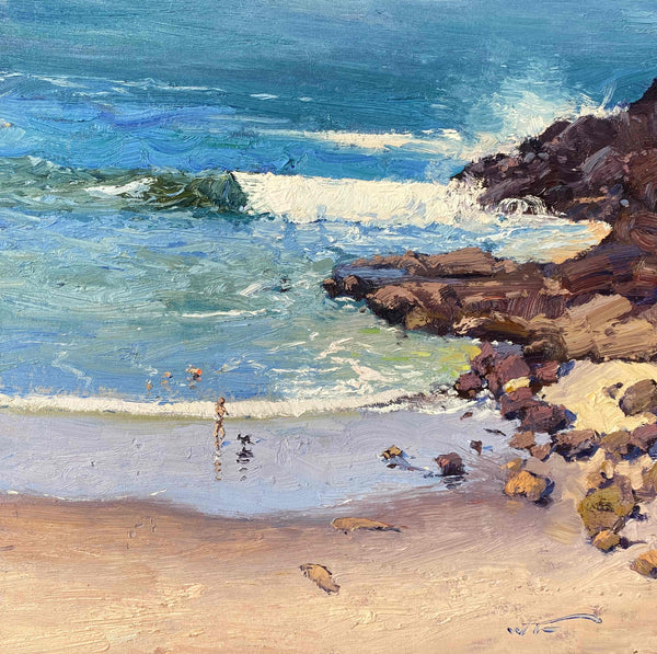 Warwick Fuller Contemporary Landscape Artist 'In the Shallows, Scotts ...