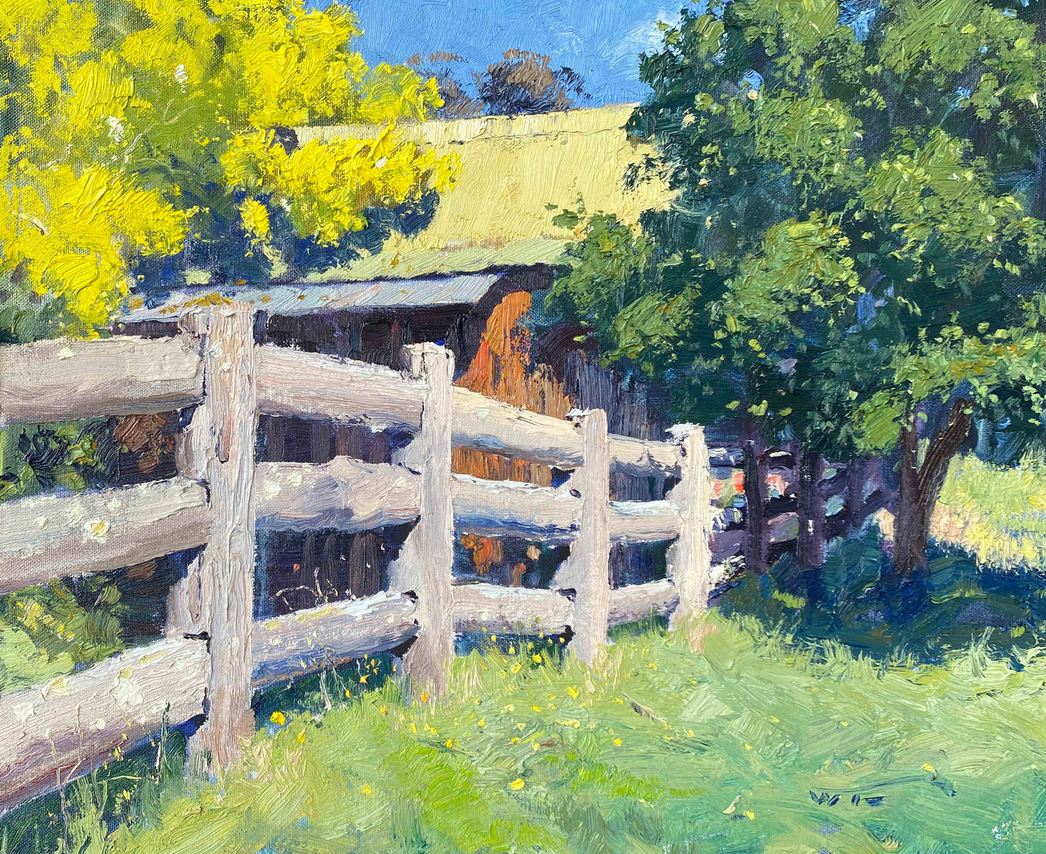 Warwick Fuller Contemporary Landscape Artist 'Golden Wattle, Fullers ...