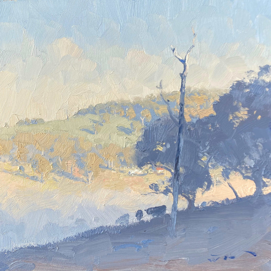 Warwick Fuller (born 1948) Contemporary Australian Landscape Artist ...